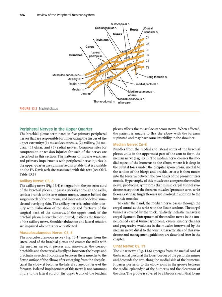 Kisner 7th 386-393 | PDF