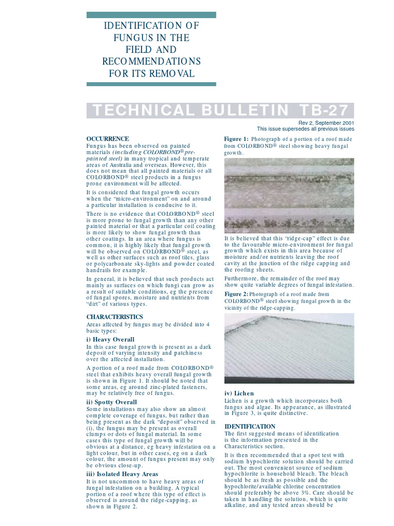 TB27 - Identification of Fungus Sept 02 | PDF | Bleach | Fungus