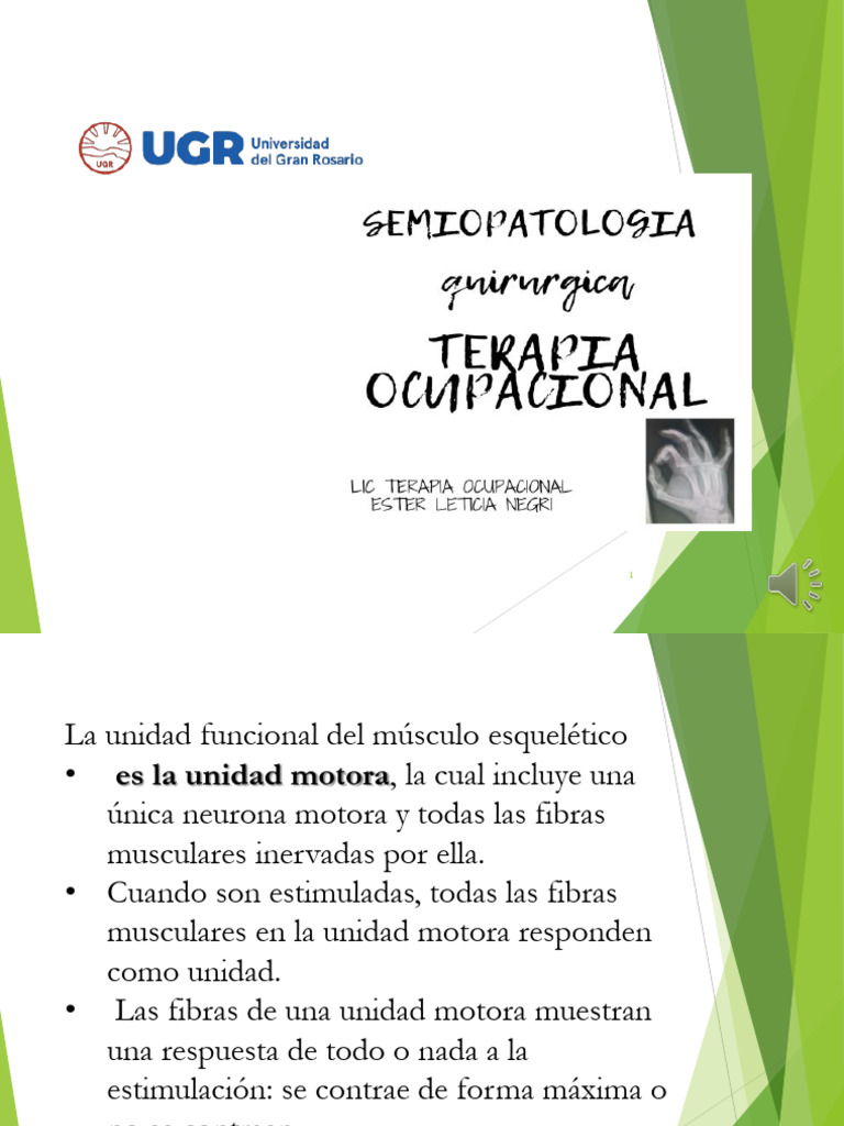 Lesiones Traumatologicas Articulares y Musculares | PDF | Músculo ...