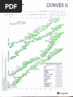 Protocolo - Denver II | PDF