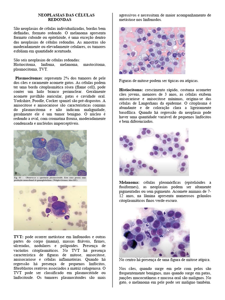 Neoplasias Das Células Redondas | PDF | Neoplasmas | Timo