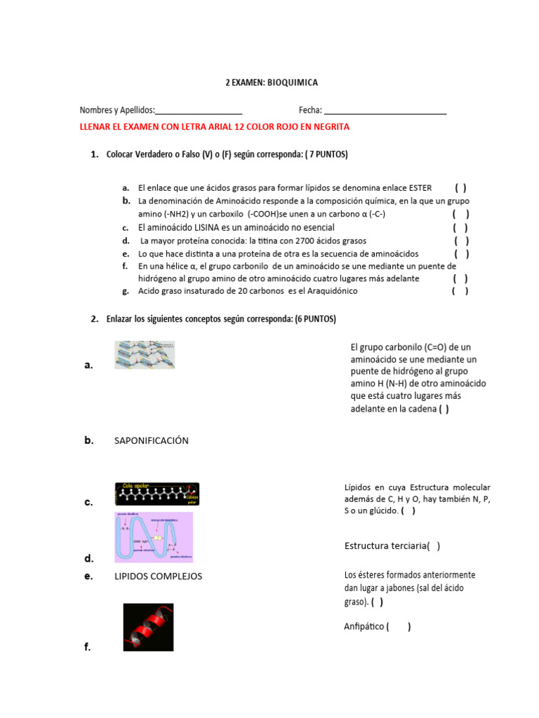 Examen Bioquimica 2 | PDF | Aminoácidos | Ácido graso
