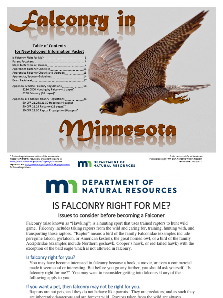 Falconry Packet | PDF | Falconry | Birds