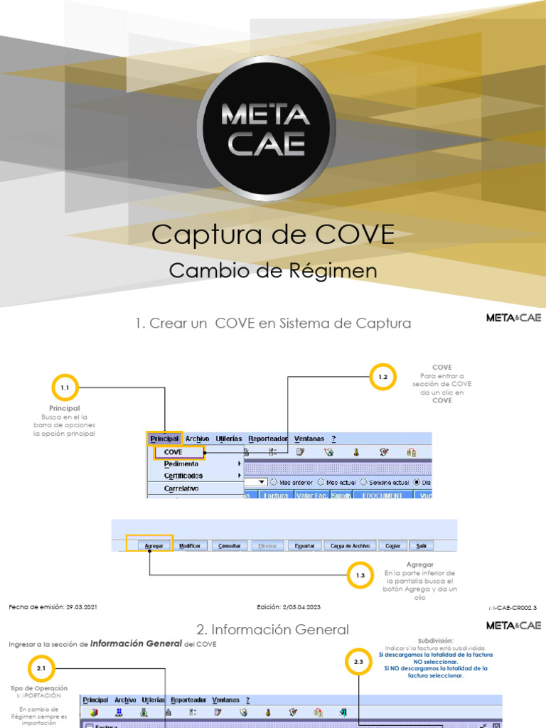 Manual Cove | PDF | Factura
