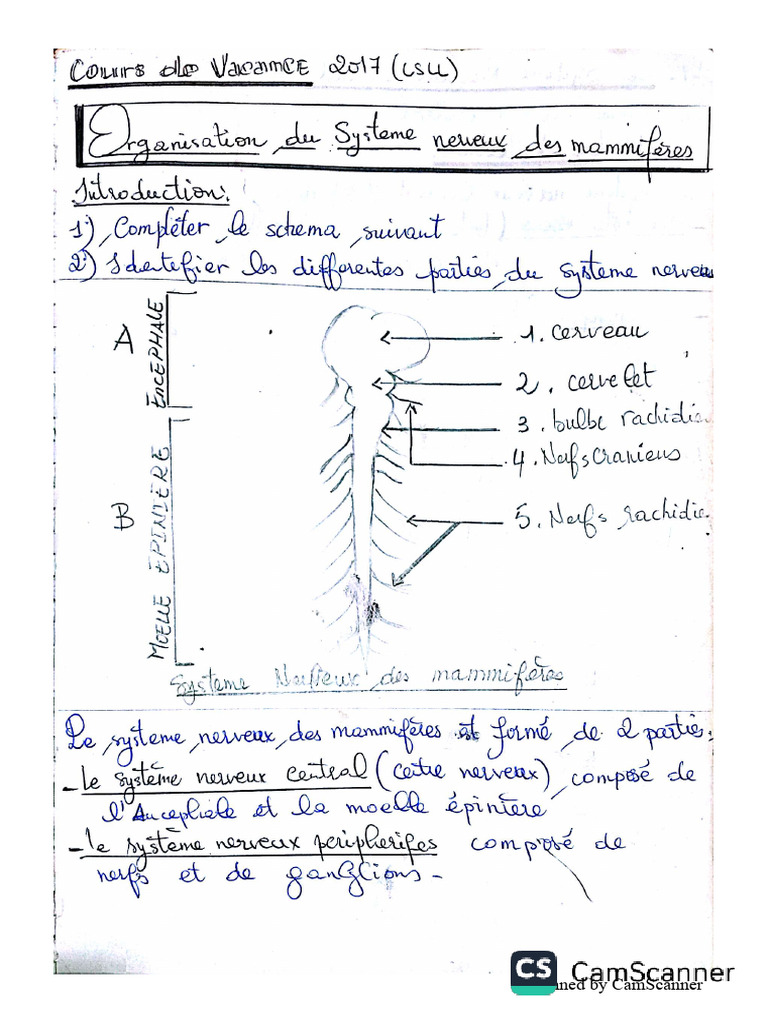 Fascicule SVT Très Important - Sa Résume Tout | PDF