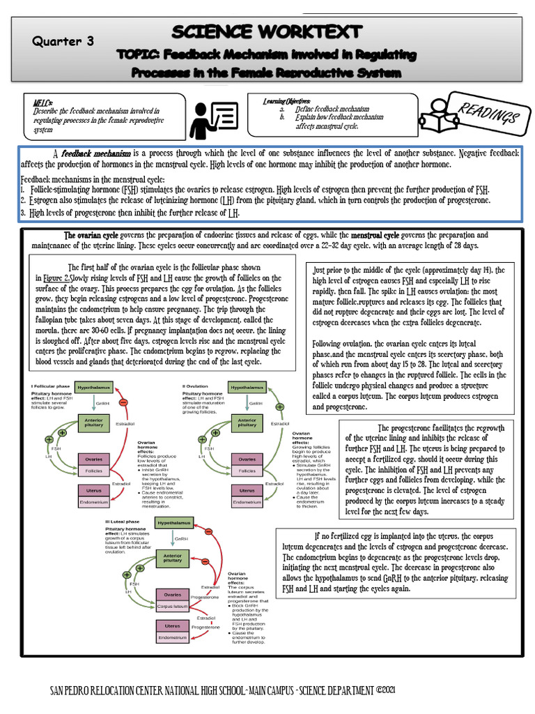 Worktext Feedback Mechanism | PDF | Menstrual Cycle | Luteinizing Hormone