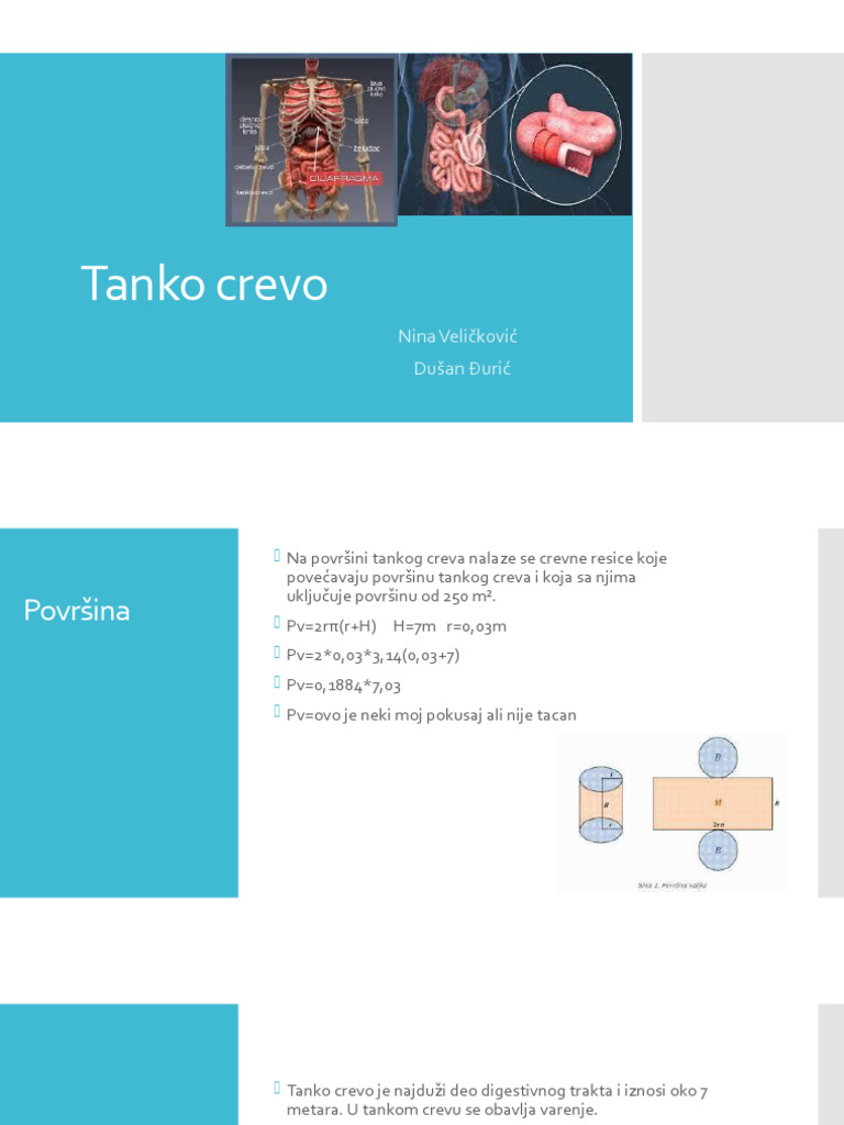 Tanko Crevo | PDF