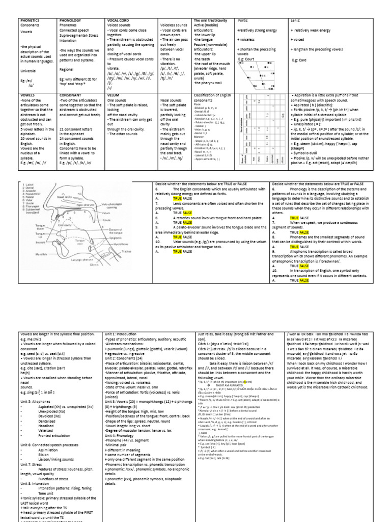 Phonetics Pdf Phonetics Stress Linguistics