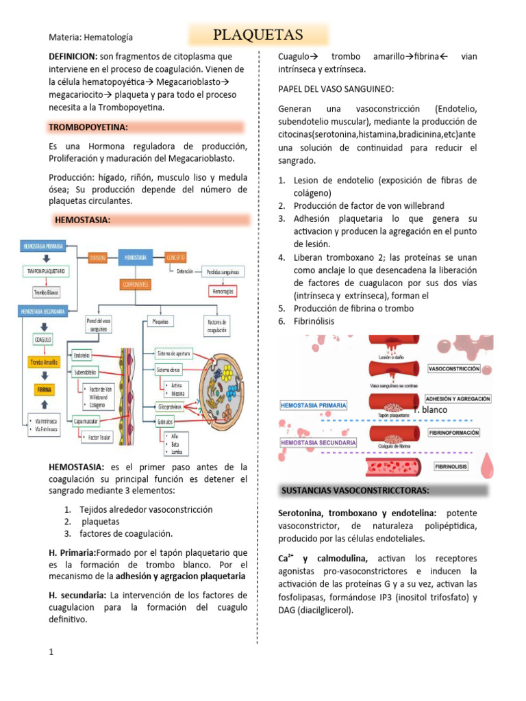 PLAQUETAS | PDF | Plaqueta | Coagulación