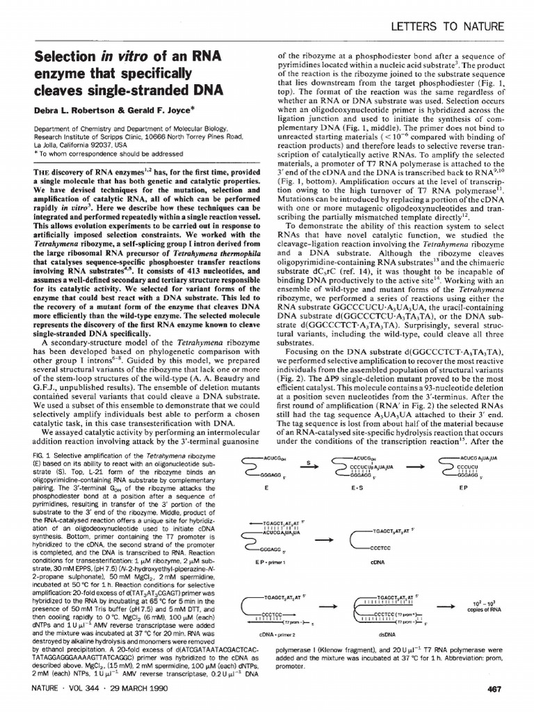 In Vitro: Selection of An RNA Enzyme That Specifically Cleaves Single-Stranded DNA | PDF | Rna | Dna
