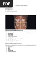 Pembagian Kuadran dan Regio Abdomen | PDF