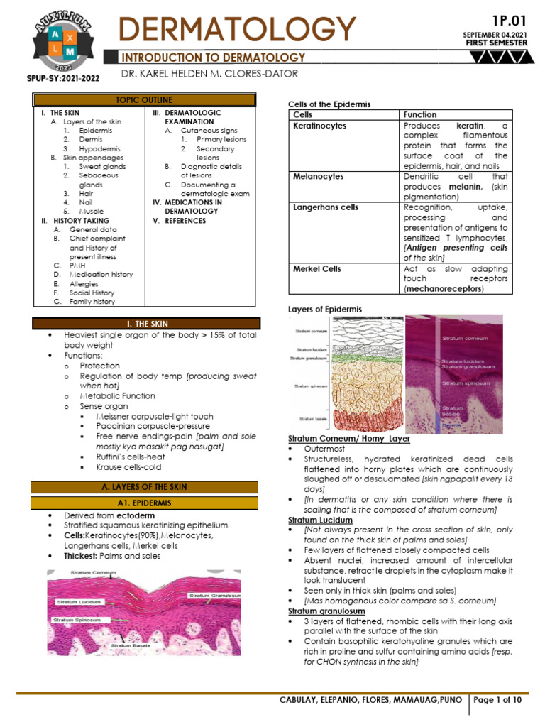 1P.1.Derm-Introduction To Dermatology | PDF | Skin | Epithelium
