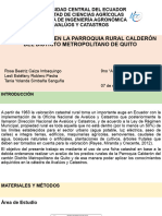 Informe Predial | PDF