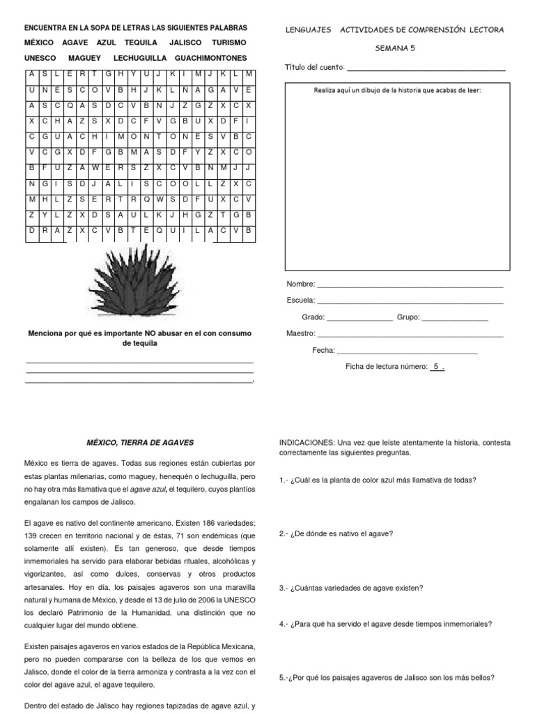 Semana 5 Lectura | PDF