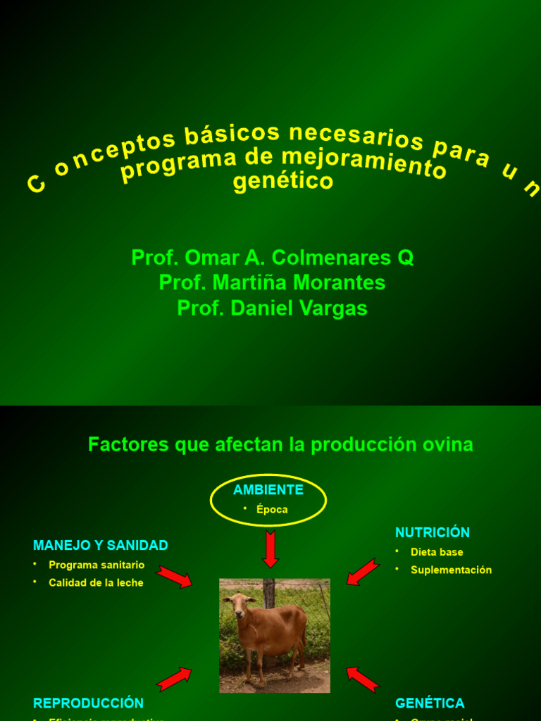 Conceptos Básicos Estadística y Mejoramiento | PDF | Genotipo