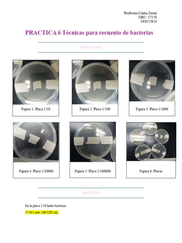 PRACTICA 6 Técnicas para Recuento de Bacterias | PDF | Unidad de ...