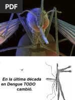 Escala de Rotterdam | PDF