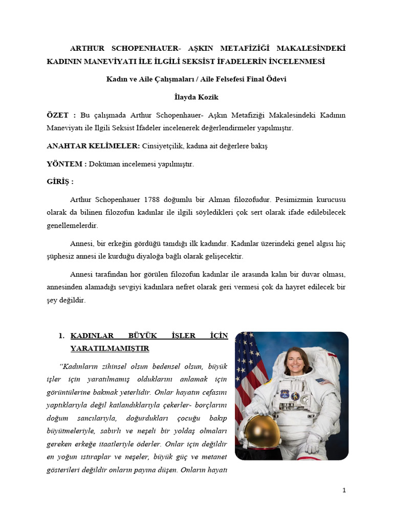 Felsefe Final Ödevi - Ilayda Kozik | PDF