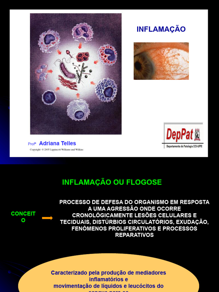 Inflamação Aguda Pdf Inflamação Endotélio