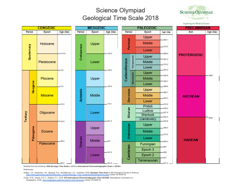 Fossils Geologic Time Scale | PDF | Geologic Time Scale | Stratigraphy