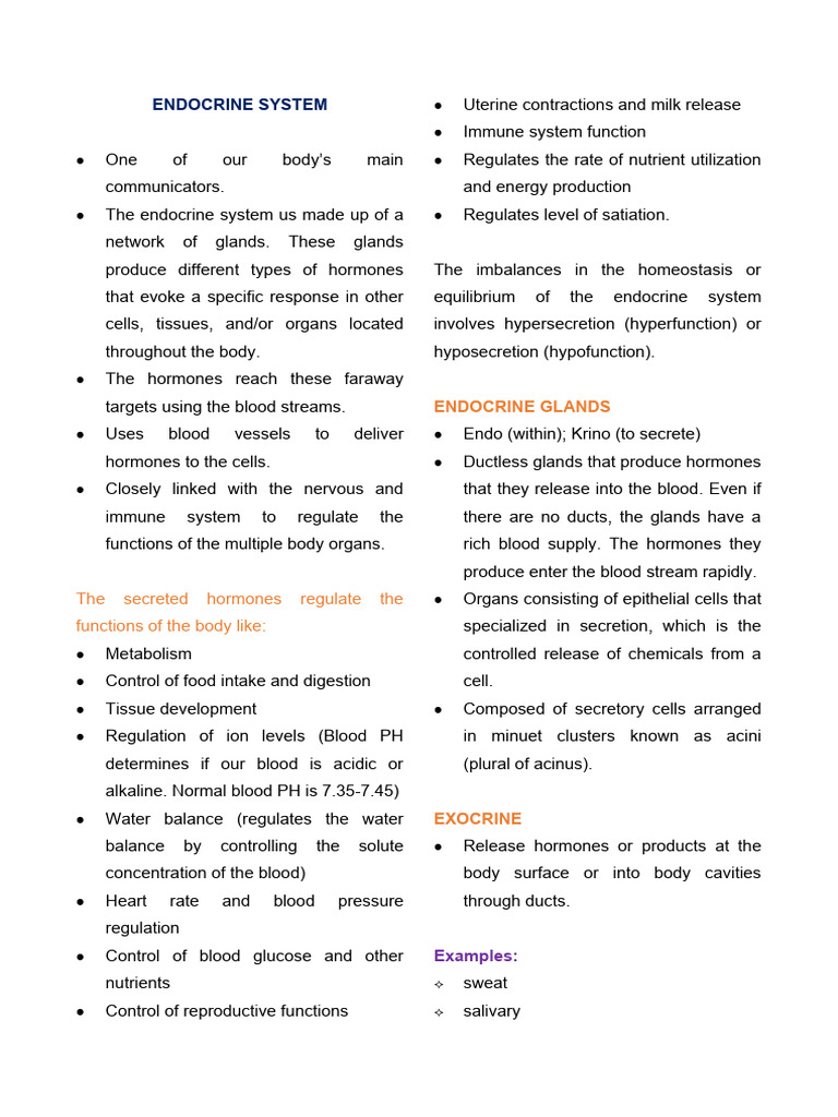 Endocrine System | PDF