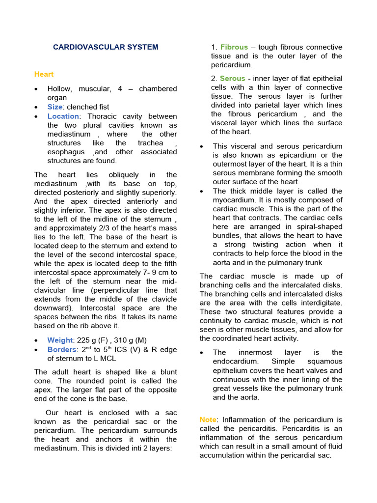 Cardiovascular System | PDF | Heart Valve | Heart