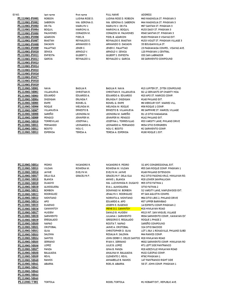 Pingkian 3 Leaders | PDF