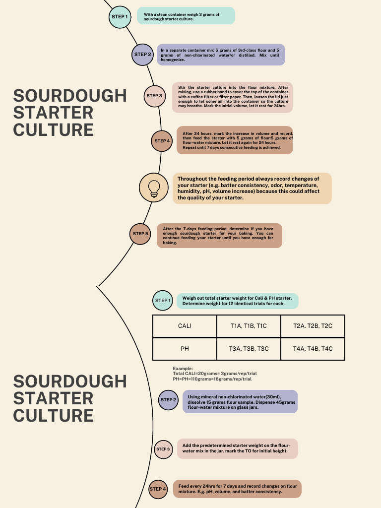 Diagram For Sourdough Starter 1 Pdf Sourdough Mixture