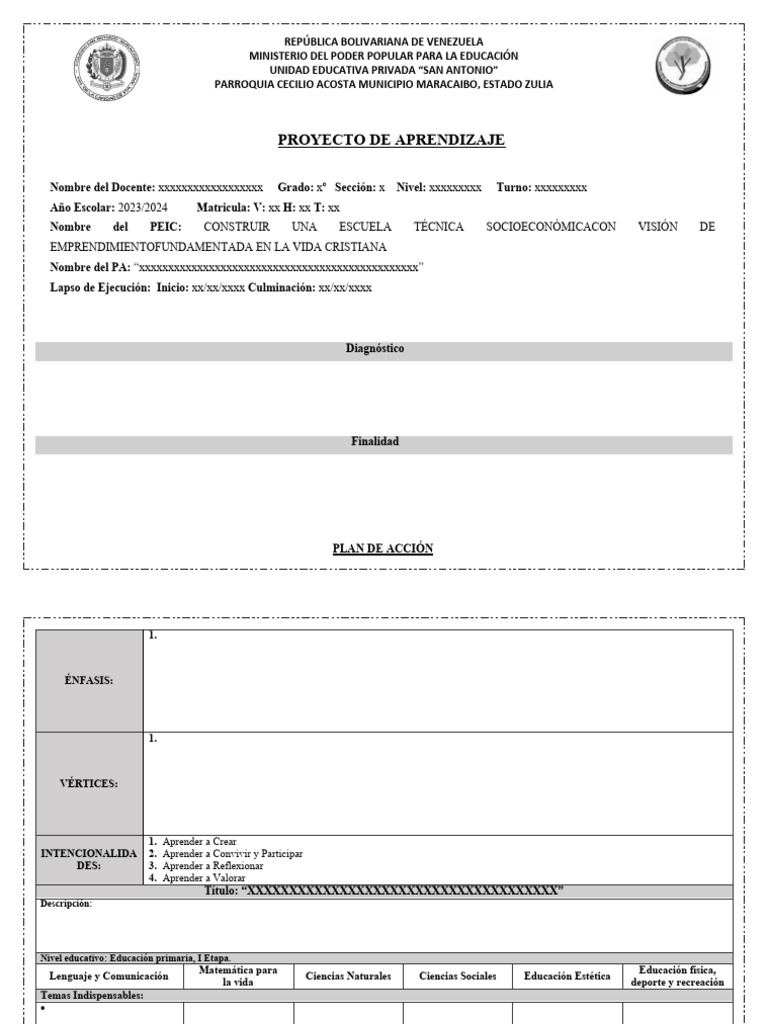 Nuevo Formato de PPA 2024 | PDF