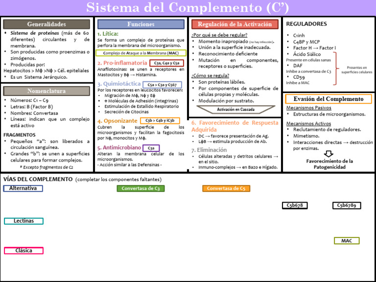 Cuadro 4. Complemento | PDF | Sistema complementario | Biología Celular