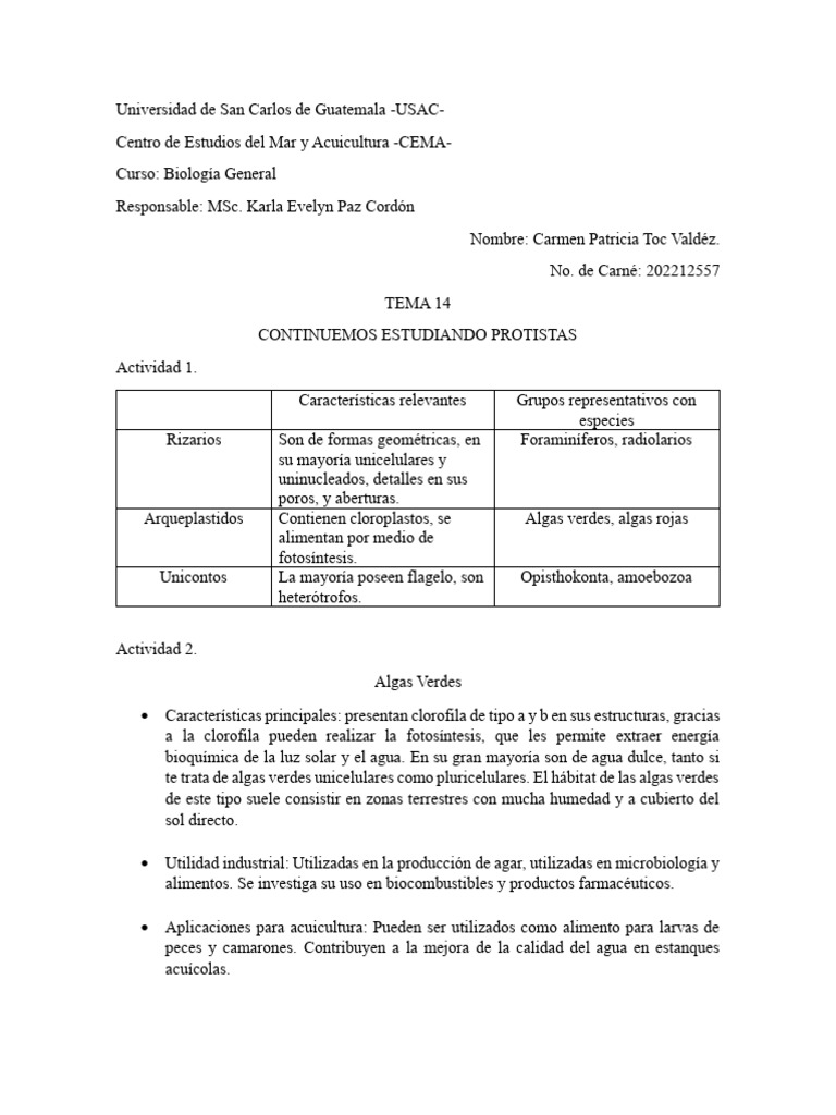 Tema14 Biologia | PDF | Algas | Organismos