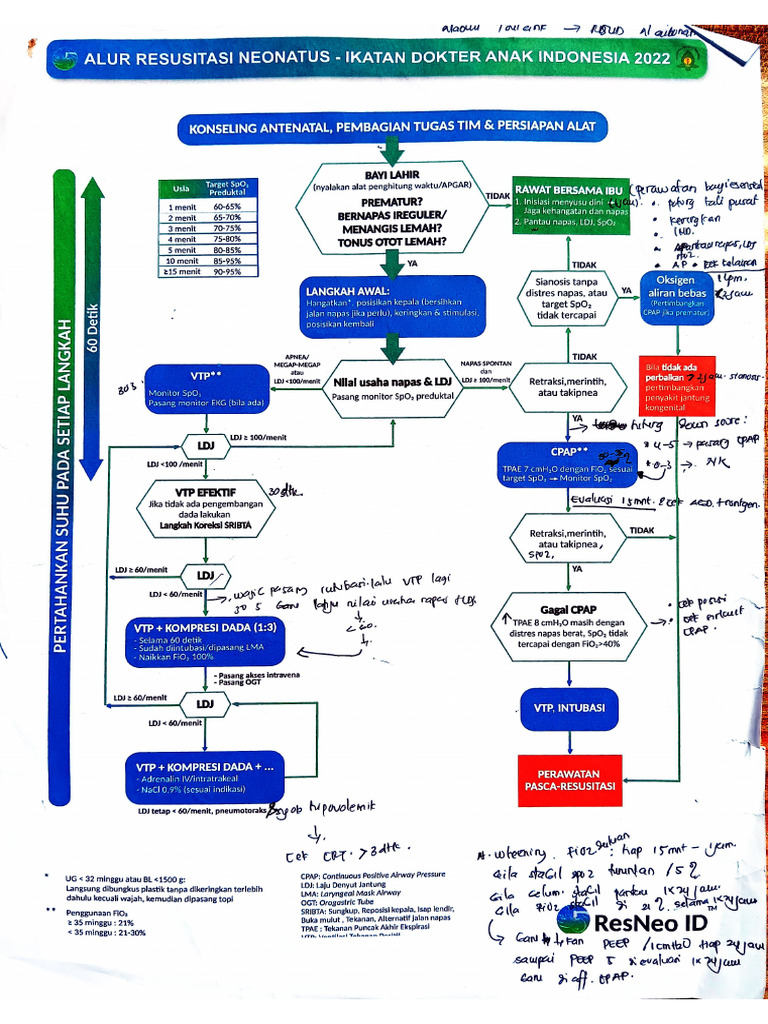 Alur Resusitasi Neonatus | PDF
