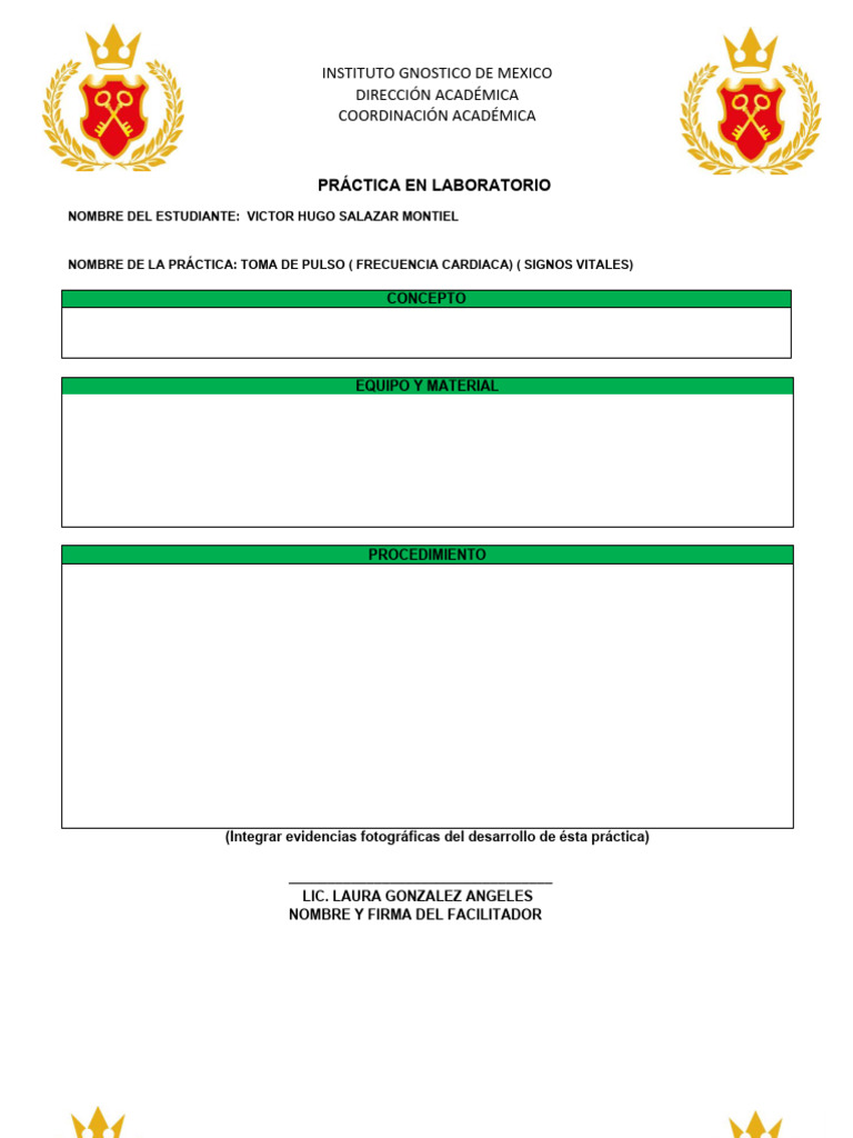 FORMATO PARA PRACTICA | PDF | Laboratorios