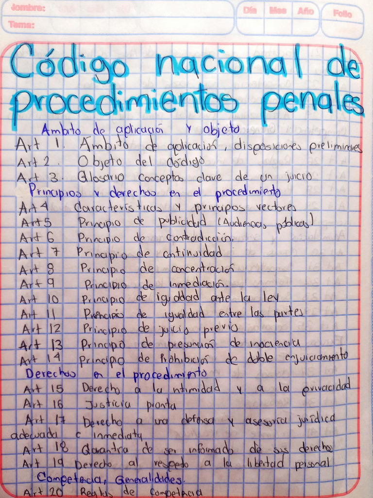 Artículos 1-333 CNPP | PDF