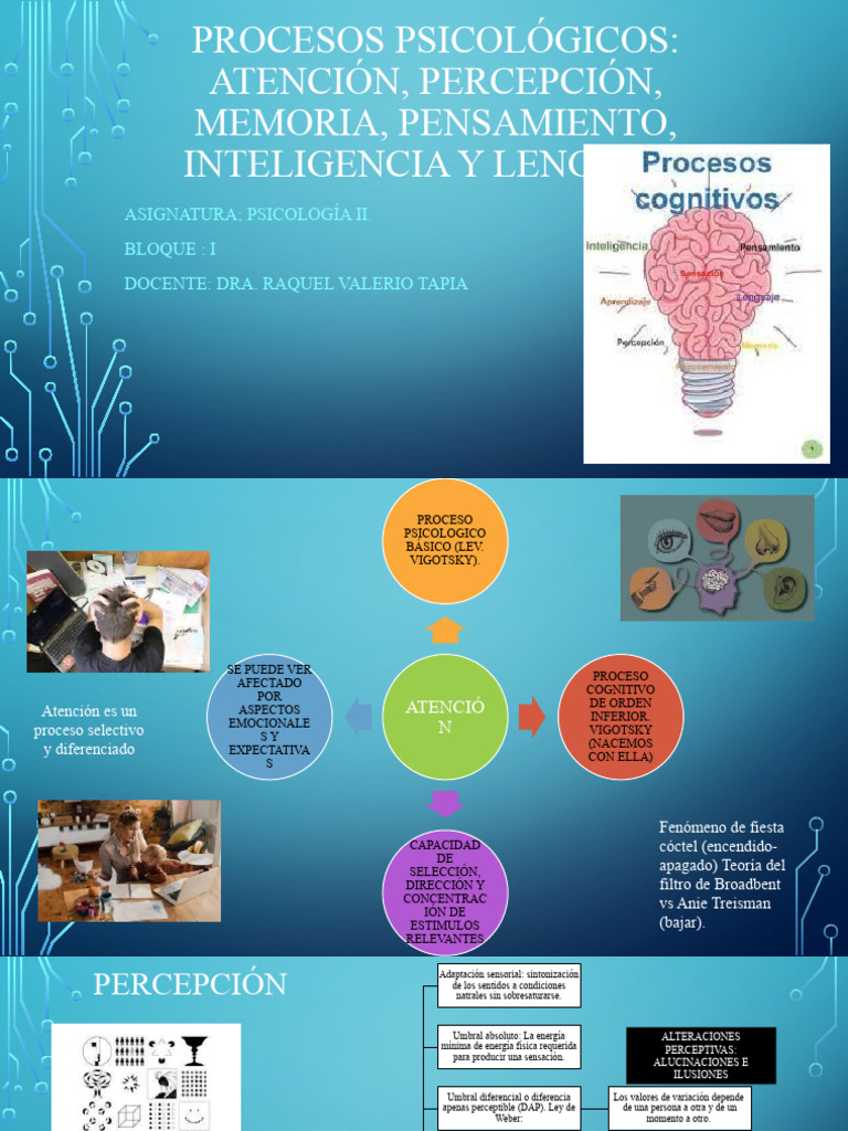 Procesos psicológicos | PDF | Percepción | Inteligencia
