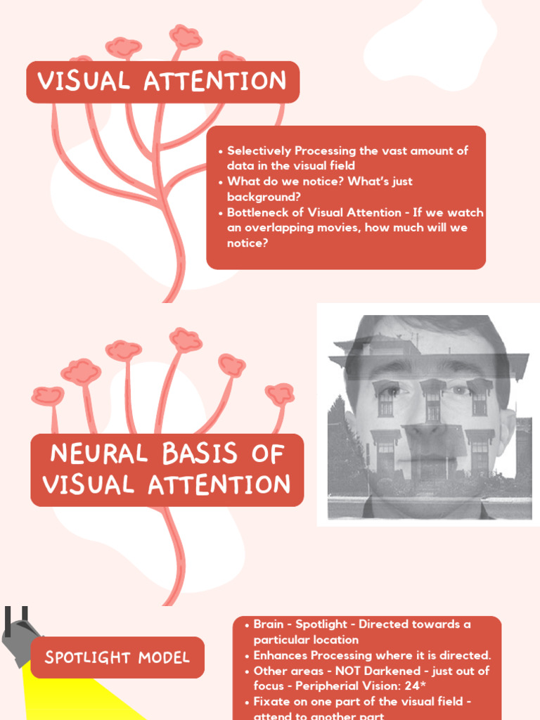 Visual Attention | PDF | Attention | Parietal Lobe