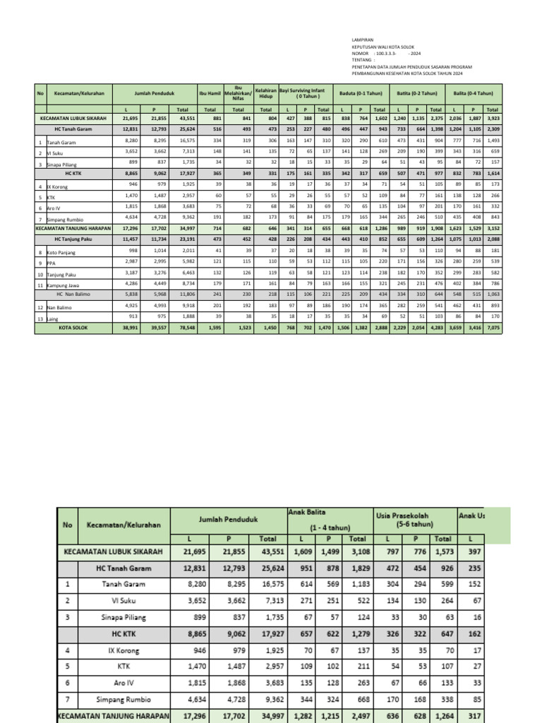 Data Penduduk Sasaran Kesehatan Solok 2024 | PDF