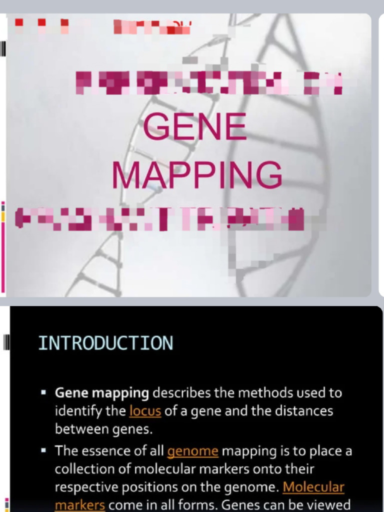 3b. Gene Mapping Explanation | PDF