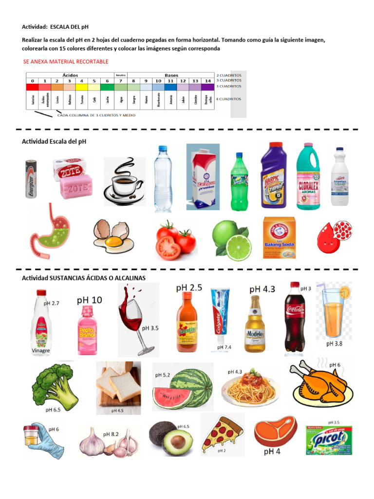 Escala del pH: Actividad Creativa | PDF
