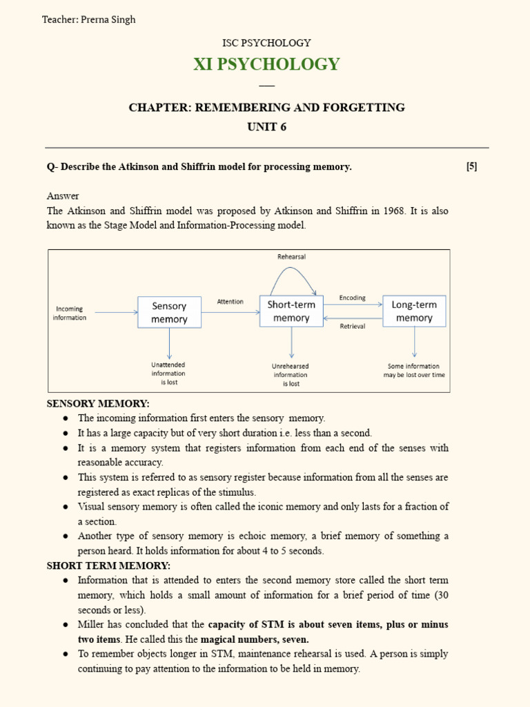 Memory XI | PDF | Memory | Recall (Memory)