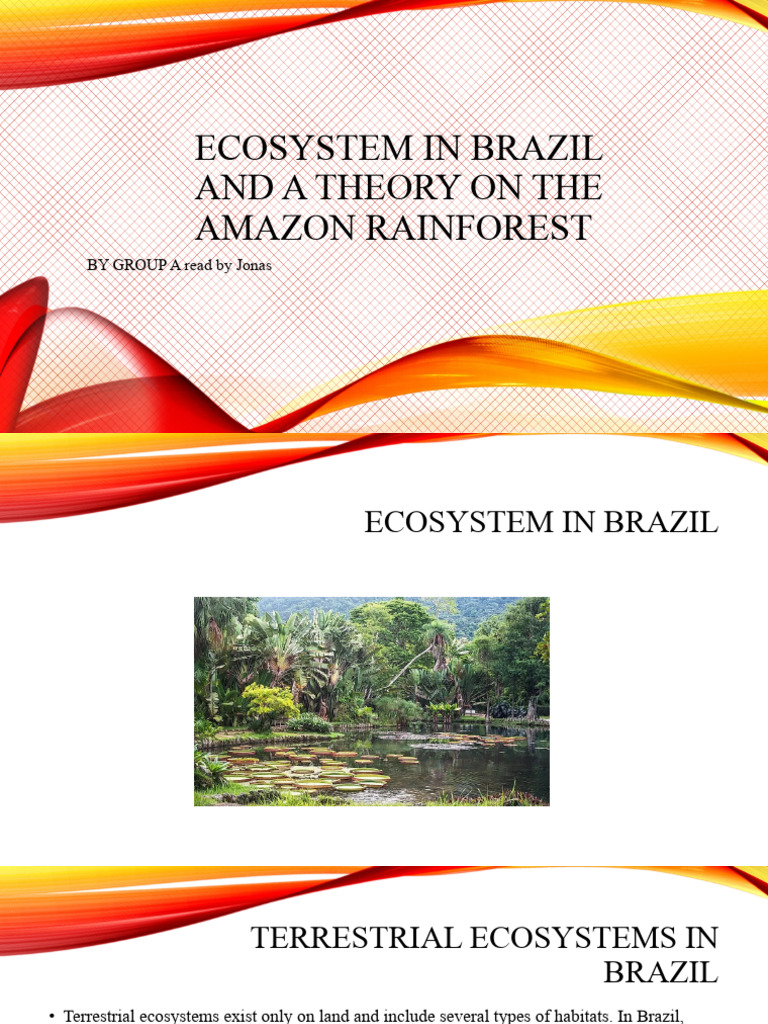 Ecosystems of Brazil: Amazon Focus | PDF | Amazon Rainforest | Earth ...