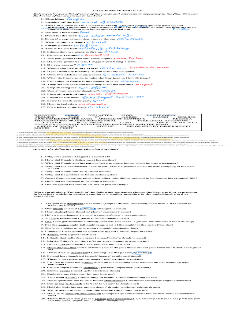 Vocabulary and Insights from "Catch Me" | PDF | Fraud | Crimes