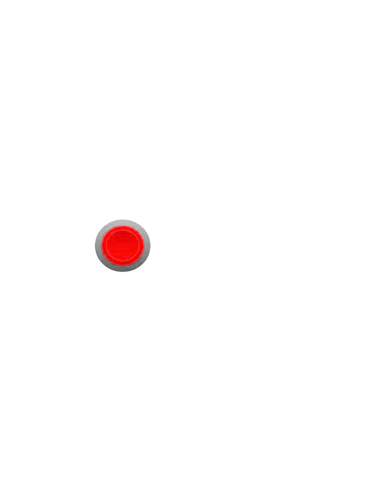Red Button | PDF