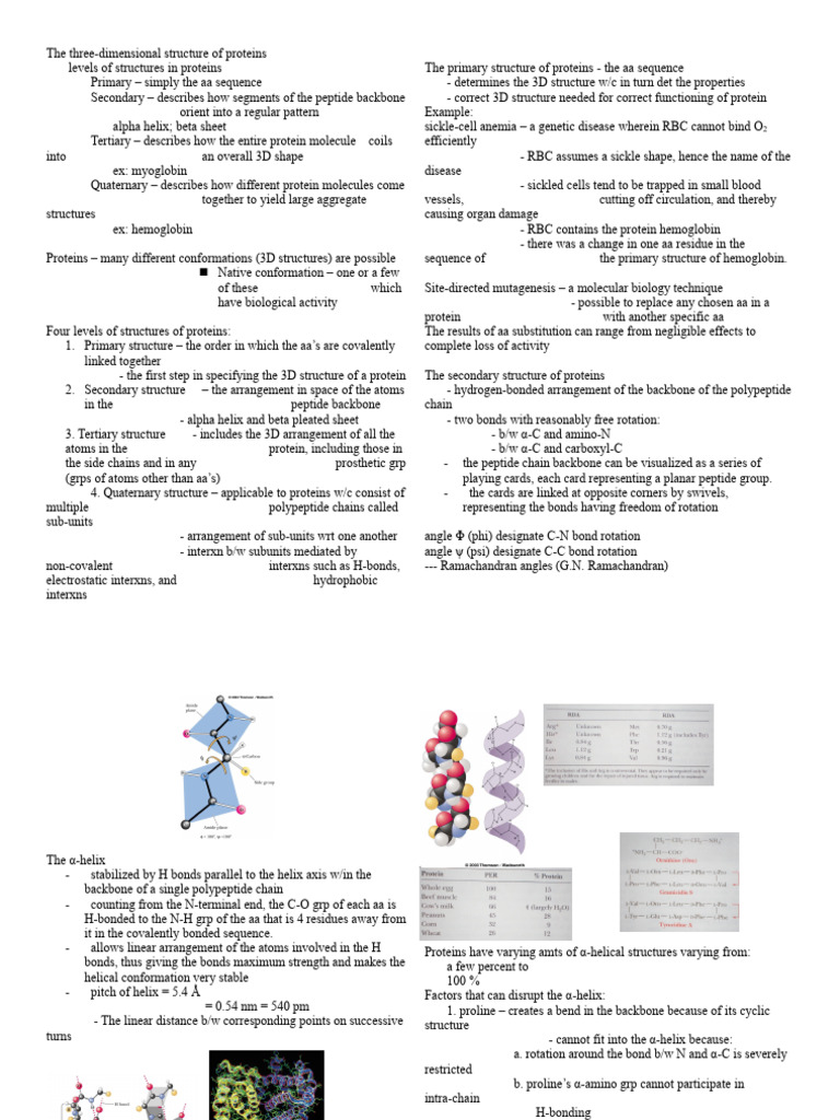 Handouts | PDF | Beta Sheet | Alpha Helix