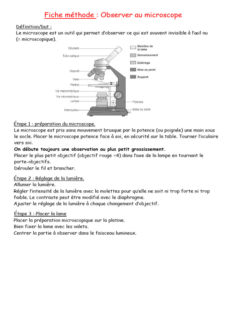 Méthode d'Observation au Microscope | PDF | Objectif photographique ...
