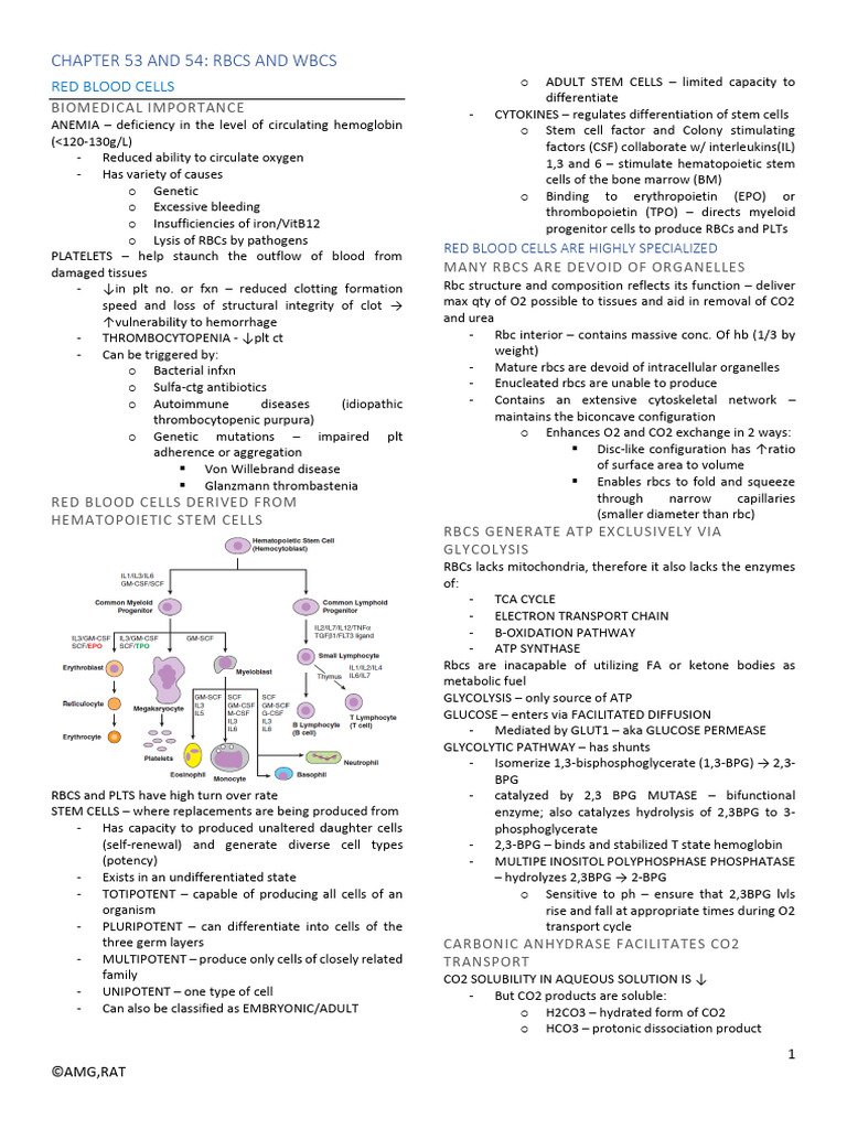 Chapter 53 and 54 - RBCS and WBCS Ratxamg | PDF | Red Blood Cell | Biology