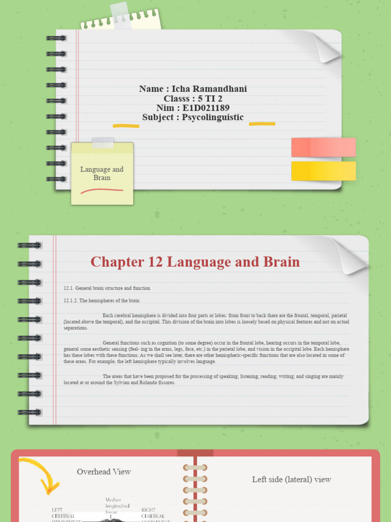Language and The Brain | Download Free PDF | Aphasia | Lateralization Of Brain Function