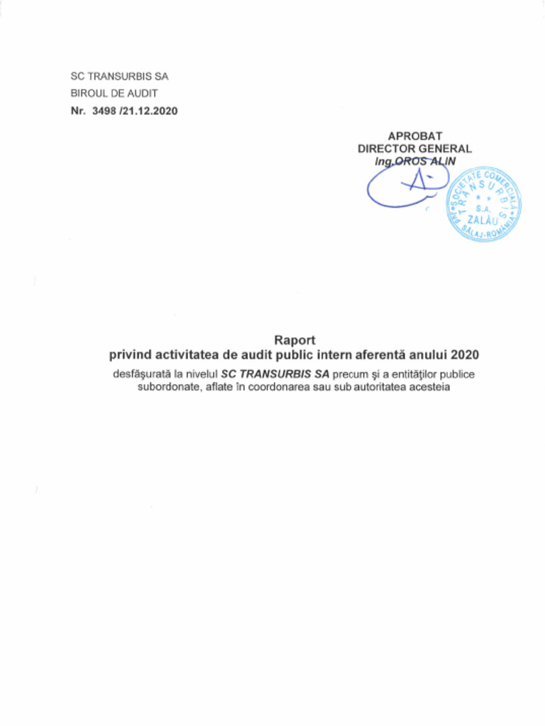 Raport Anual de Audit Intern An 2020 | PDF