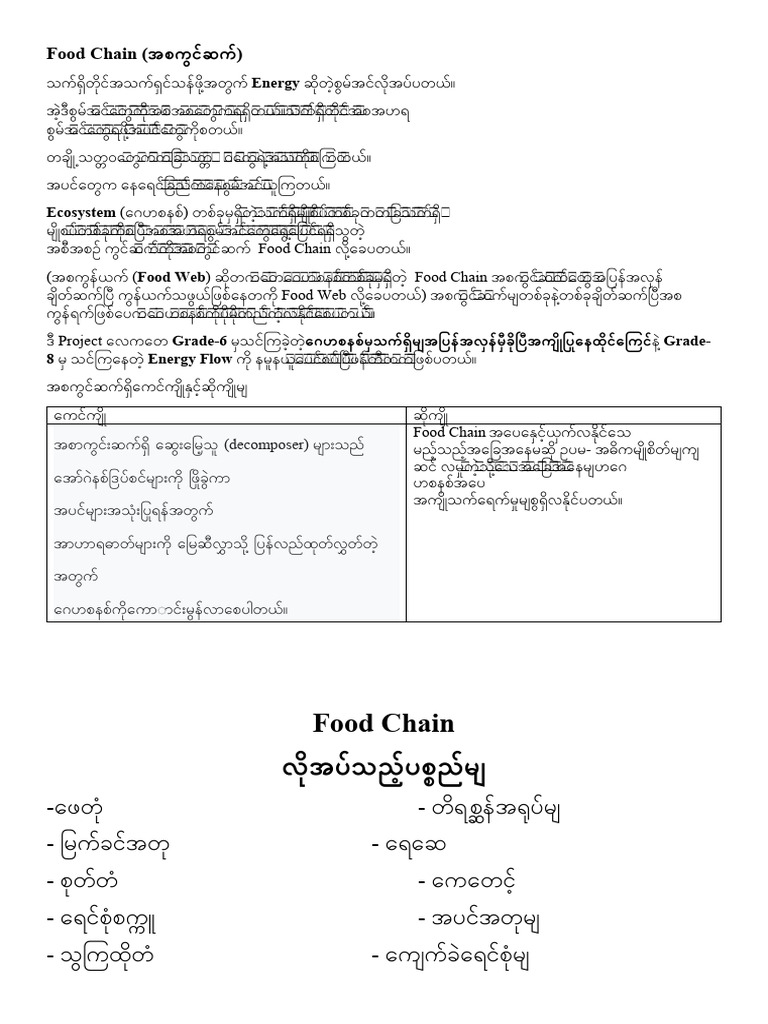 Food Chain | PDF