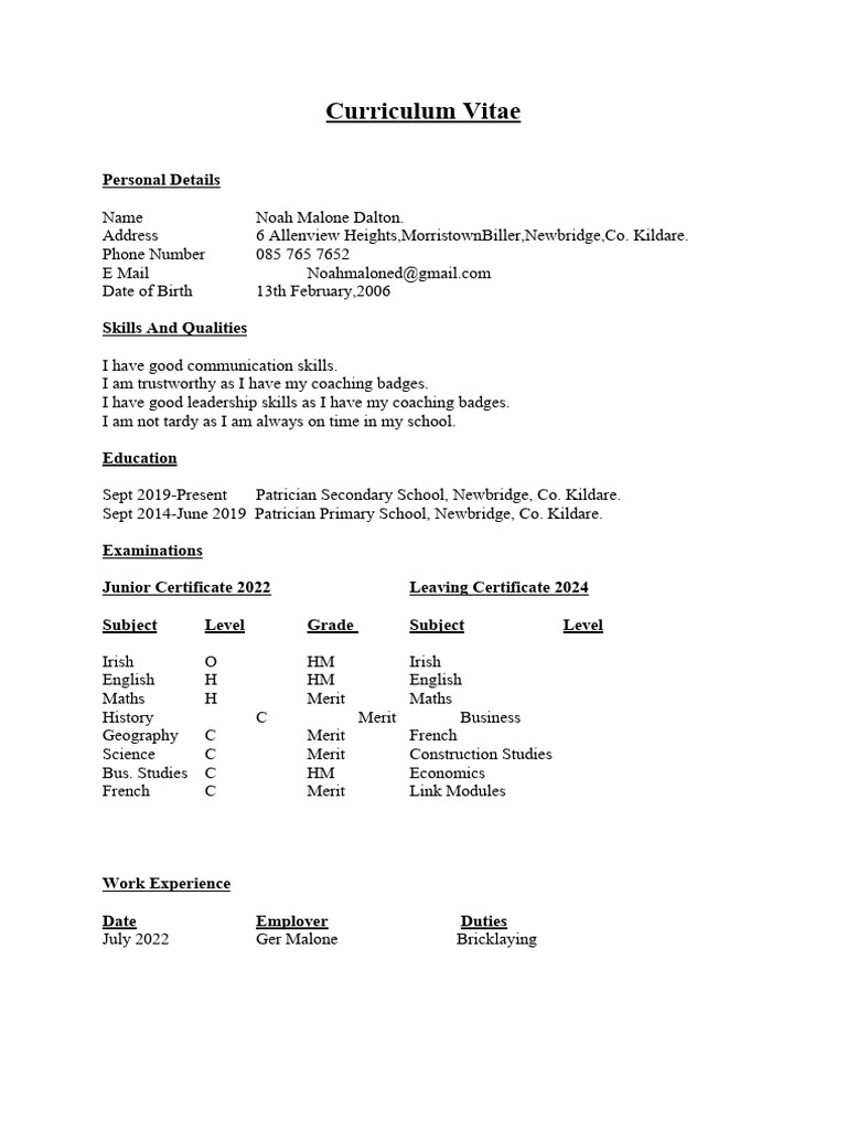 Noah Malone-Dalton - (Template) LCVP Curriculum Vitae | PDF